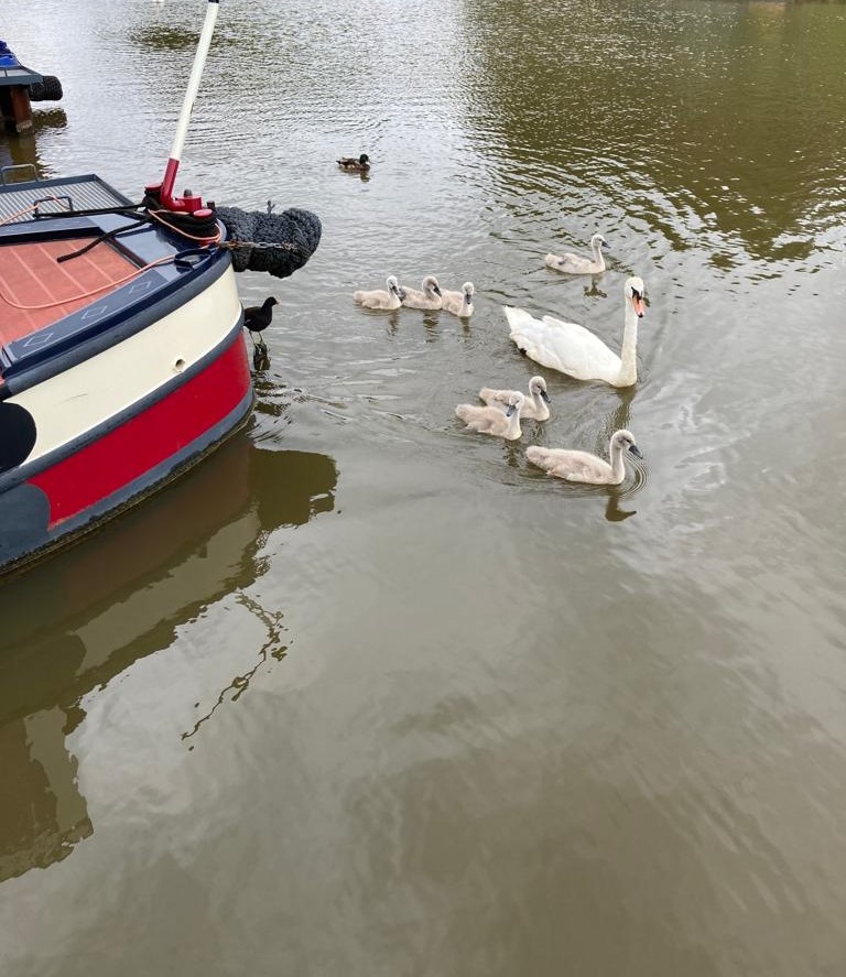 Mancetter Marina - Narrowboats.uk